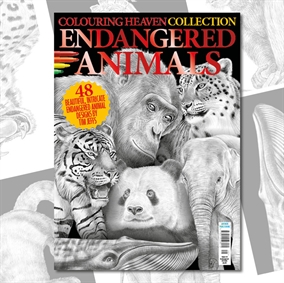 Colouring Heaven magazine